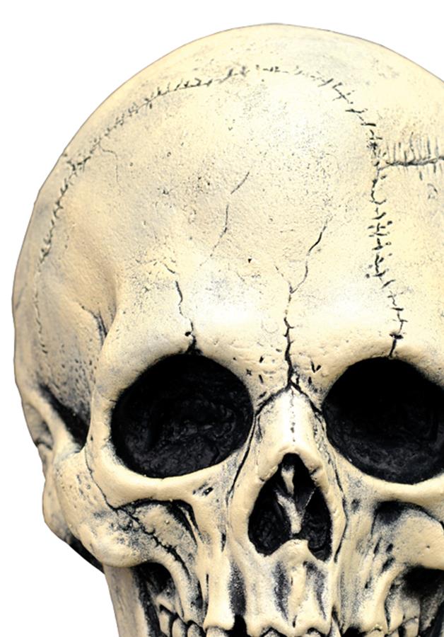 Night Owl Skull White Latex Adult Mask - Discount Party Supplies