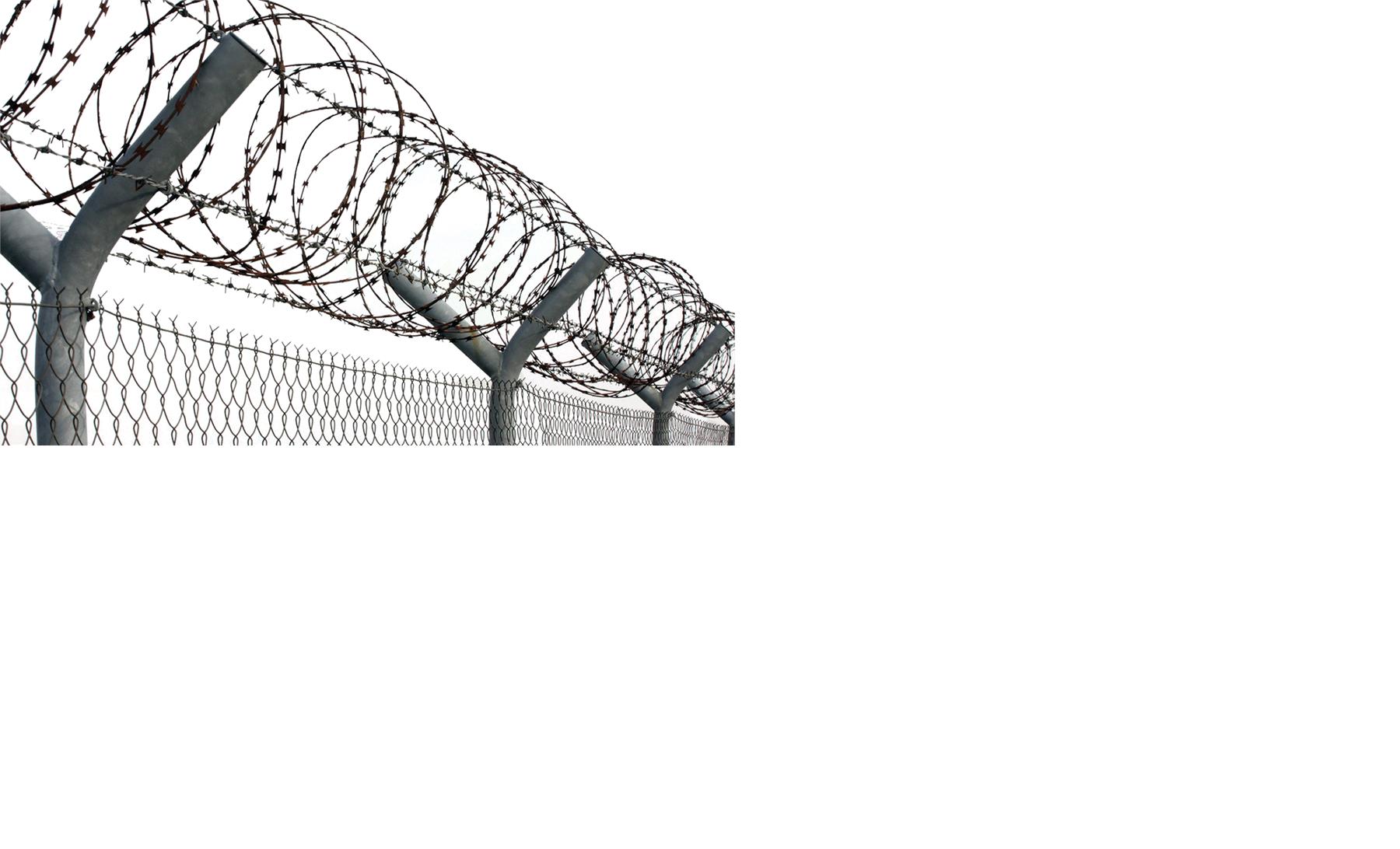 Razor Wire Halloween Prop | Discount Party Supplies - Discount Party ...