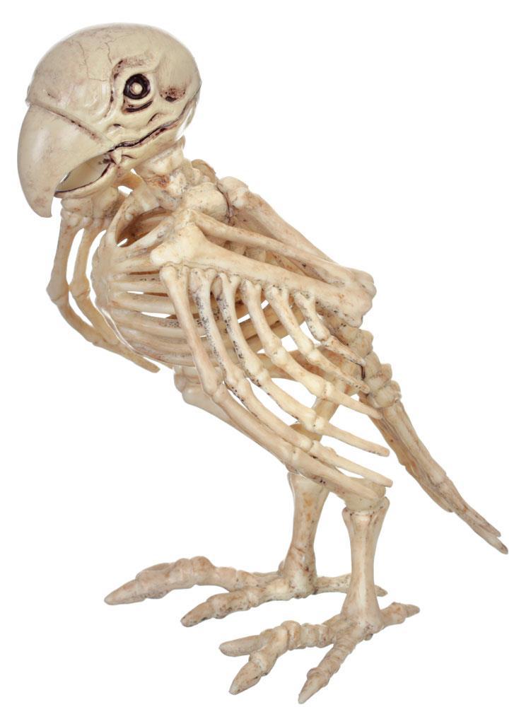 Parrot Skeleton Halloween Prop - Discount Party Supplies