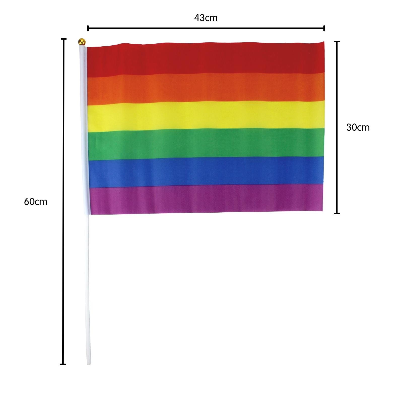 Rainbow Handheld Flag 30cm x 43cm | Rainbow Party Supplies | Coloured ...